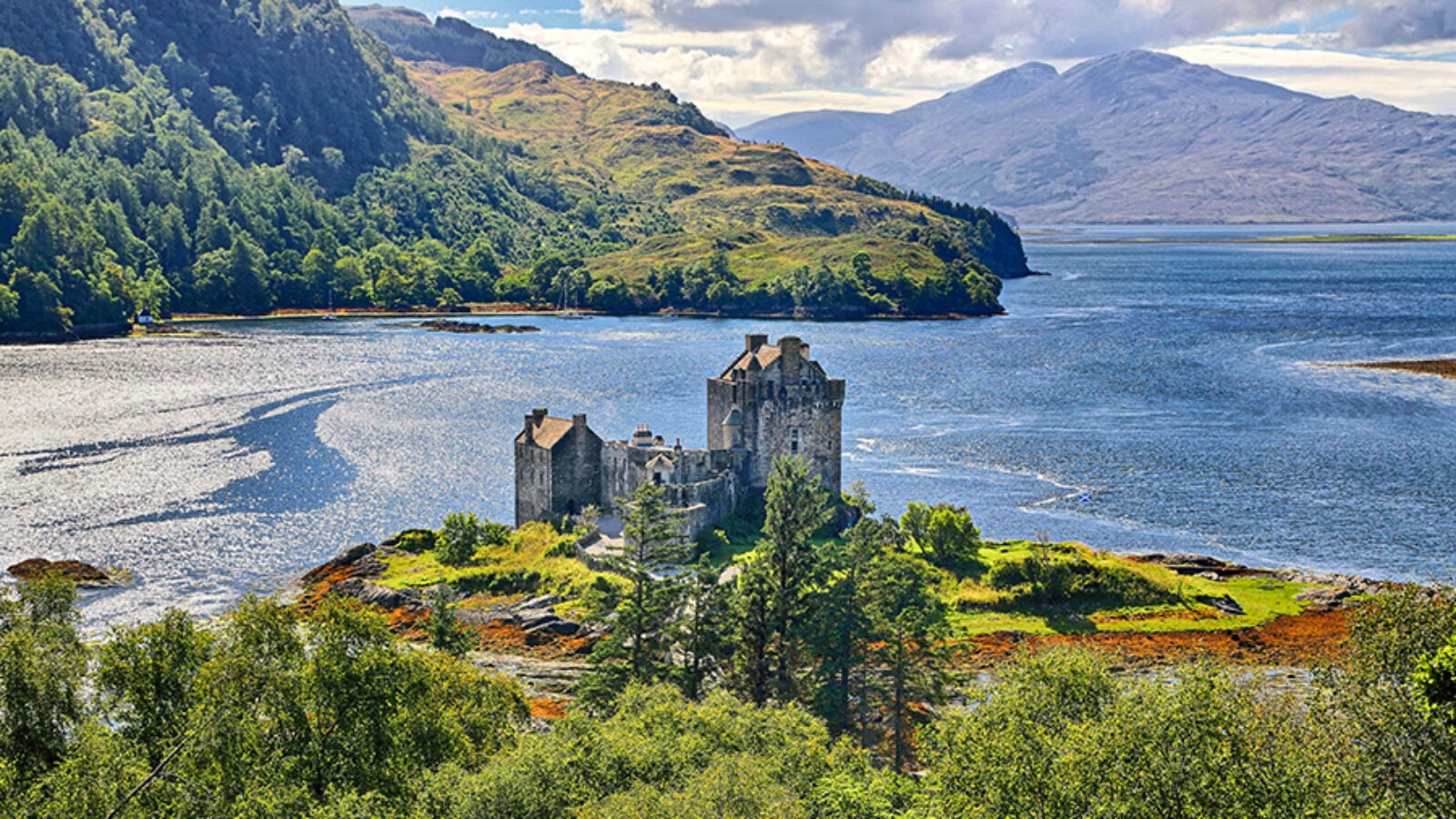 Travel Society - Georgetown Alumni